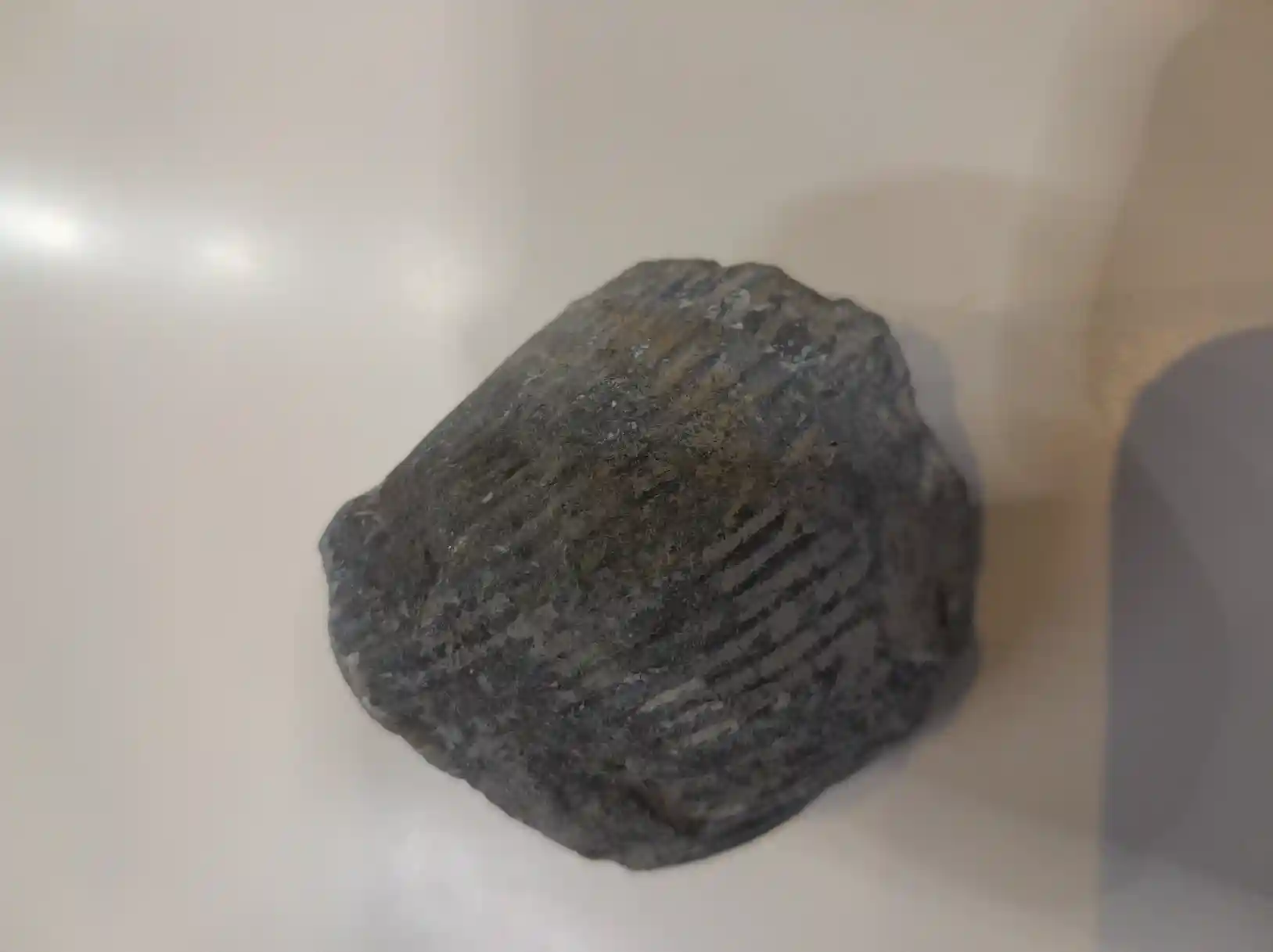 Interesting Specimen