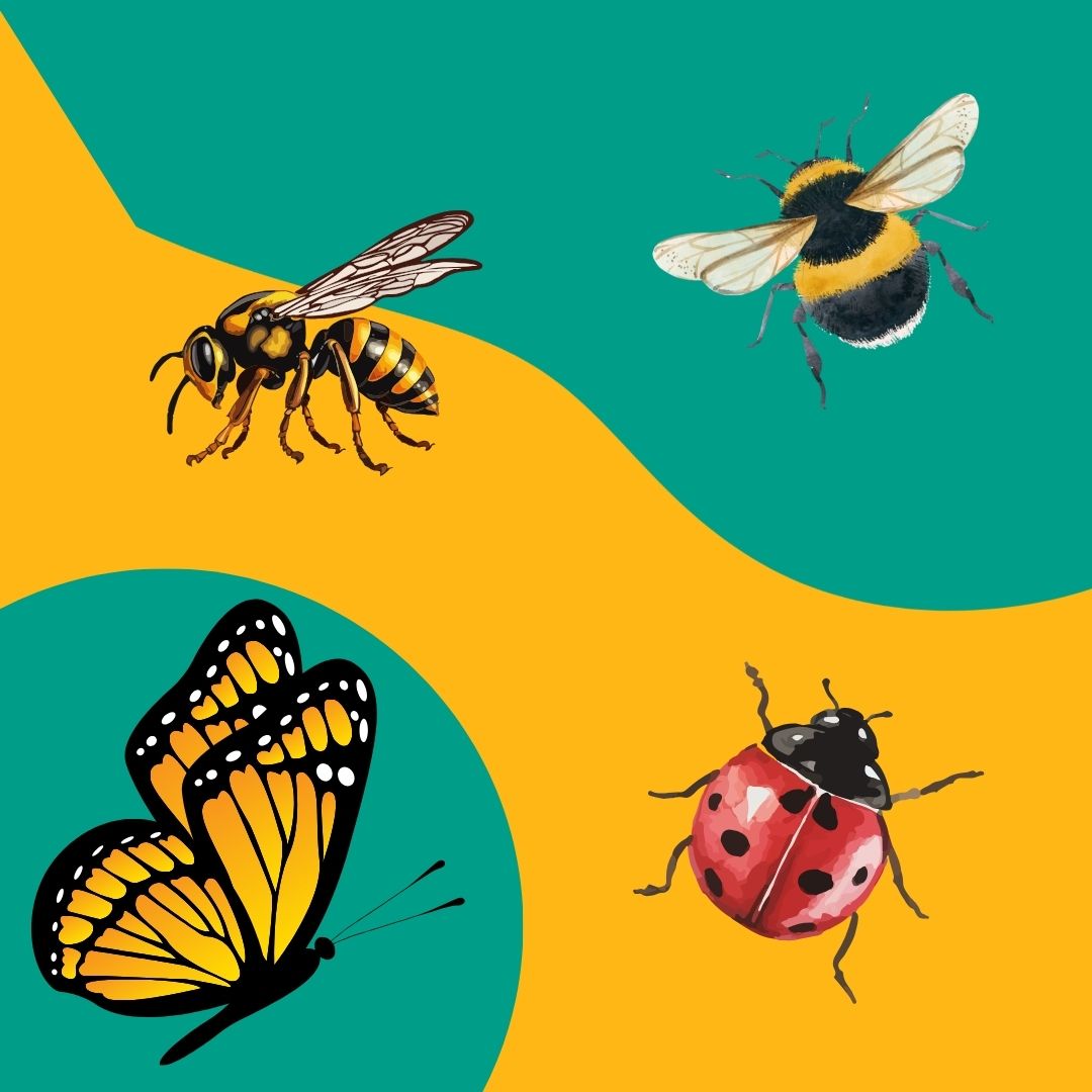 0Hp5W9B0mbVwmjR.jpg?v=1714574962