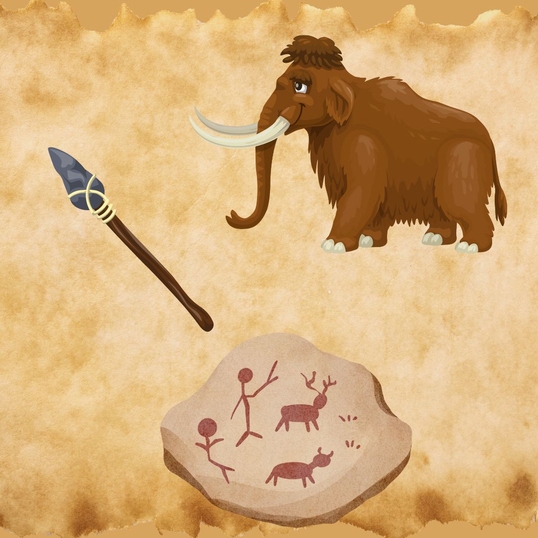 4yiR8bpAOWainfp.jpg?v=1715173375