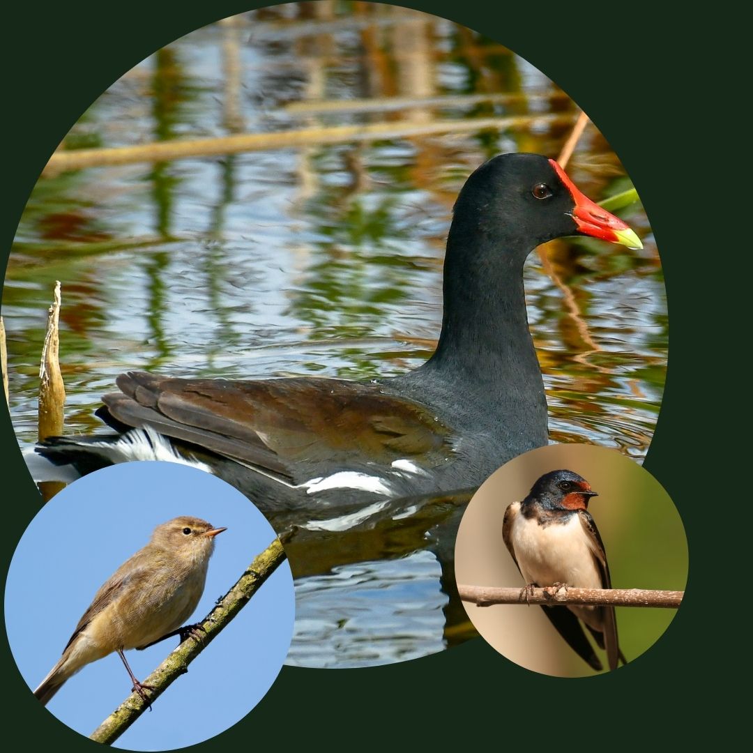 A7x6exHKKNHWZfc.jpg?v=1743598816