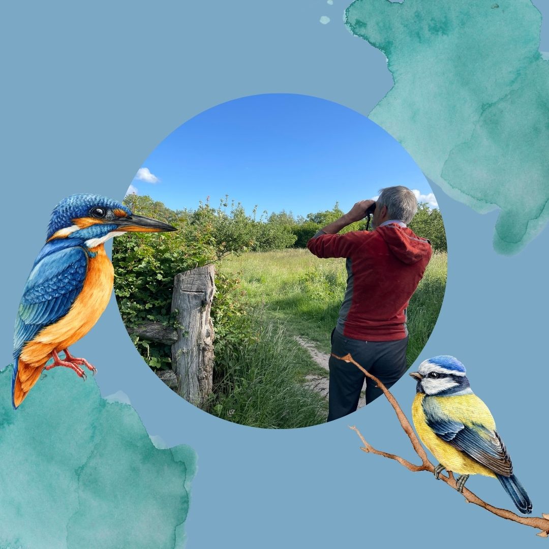 ObeAk2FSgr4DG1d.jpg?v=1764258106