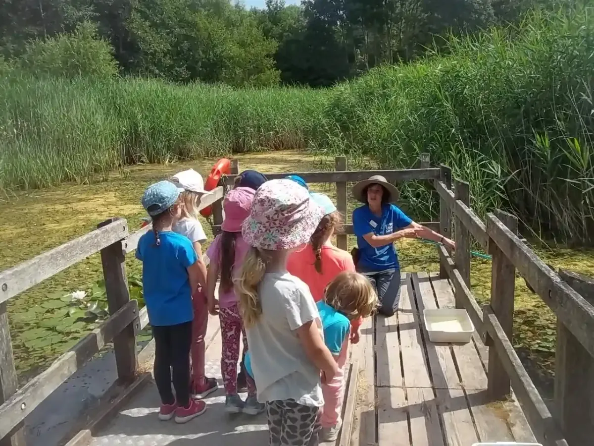 66.webp?v=1715784337